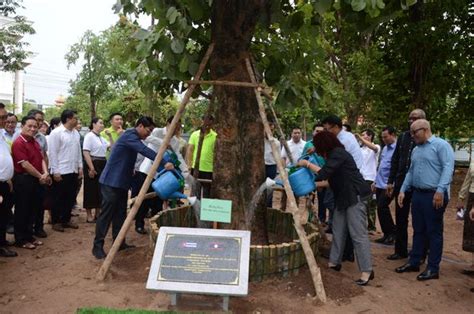 ນະຄອນຫຼວງຈັດກິດຈະກຳປູກຕົ້ນໄມ້ໃສ່ສວນປະຕູໄຊພາກຂະຫຍາຍ