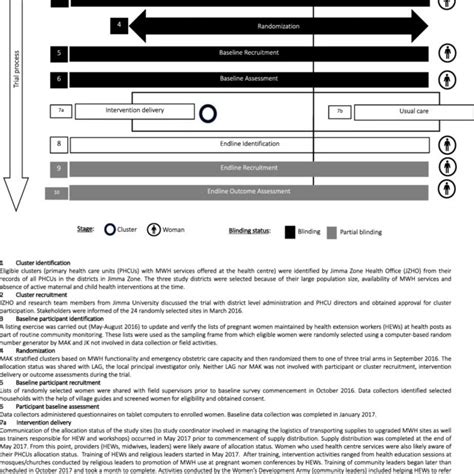 Timeline Cluster Diagram Illustrating Participant Recruitment Download Scientific Diagram