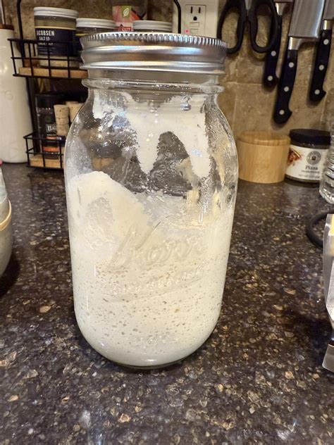 Gluten Free Sourdough Starter Recipe Lynns Kitchen Adventures