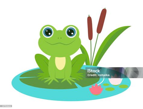녹색 미소 개구리가 앉아있다 만화 스타일 벡터 일러스트레이션 개구리에 대한 스톡 벡터 아트 및 기타 이미지 개구리 귀여운 꽃 식물 Istock