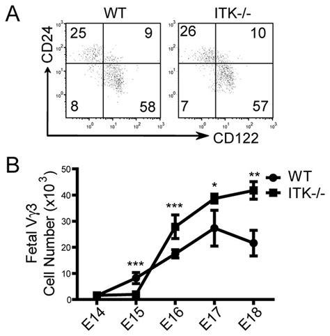 Differential Roles Of Itk Mediated Tcr Signals In Tissue Specific Localization And Maintenance