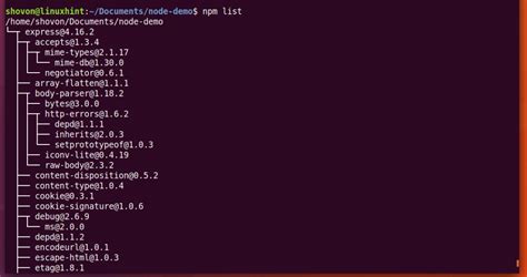 Install Npm Nodejs Package Manager On Ubuntu Linux Hint
