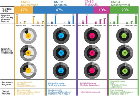 Epigenetic Features Of The Various Crc Cms Subtypes Mutation