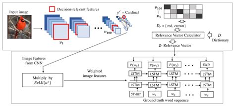Overview Of Flex Framework Download Scientific Diagram