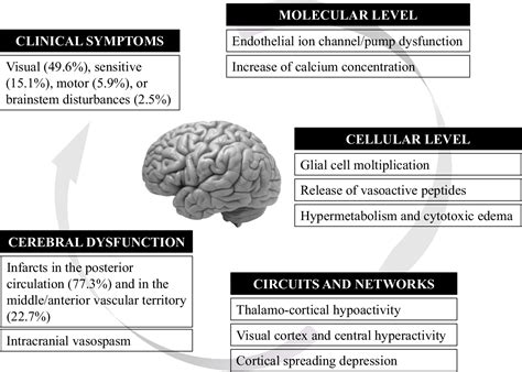 Migrainous Infarction Semantic Scholar
