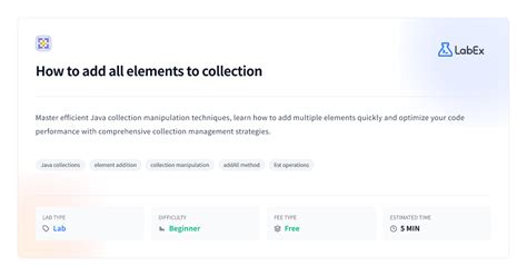 How To Add All Elements To Collection Labex