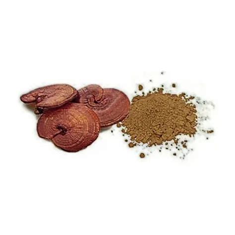 Ganoderma Lucidum Extract At Rs 1400 Kg Chinese Herbal Extract In Jaipur Id 24234609291