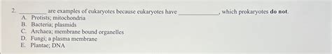 Solved Are Examples Of Eukaryotes Because Eukaryotes Have