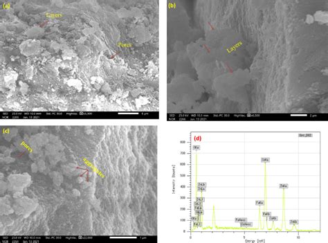 A−c Sem Images With Different Magnifications And D Edx Spectrum Of Download Scientific