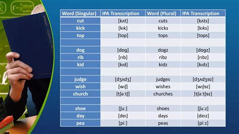12 Morphophonemics Pdf