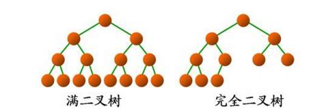 67 二叉树的左右子树交换 知乎