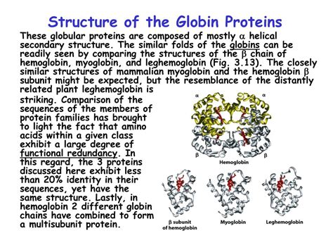 Ppt Chap3 Protein Structure And Function Powerpoint Presentation Id4294438