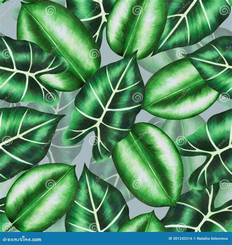 Watercolor Realistic Tropical Seamless Pattern Illustration Of Alocasia