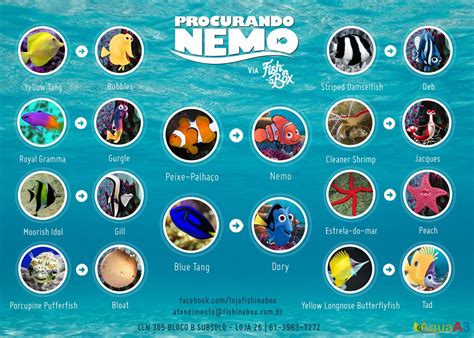 Livro De Historias Procurando Nemo