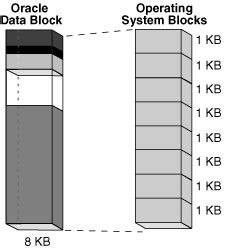 Logical Storage Structures