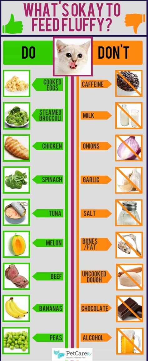 What To Avoid In Cat Food Ingredients At Clair Azevedo Blog