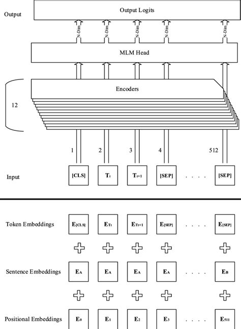 Architecture Of Per Cores Language Representation Model For Persian