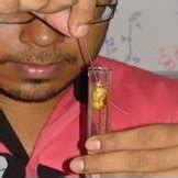 True Density Determination Download Scientific Diagram