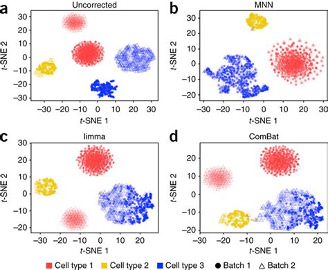 t sne plots of simulated scrna seq data containing two batches of