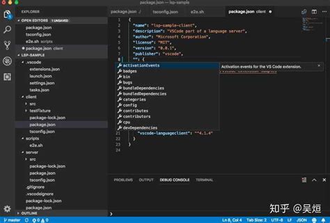 Vs Code 代码提示可以改成中文吗？ 知乎