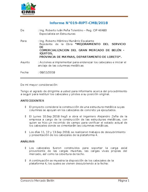 Informe 19 Ript Cmb Tratamiento De Cabezales Ok Informe N°019 Ript