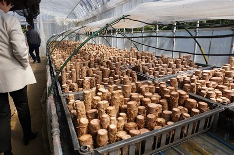 県北地域に行ってきました！～二本松市の有機農業＆たらの芽編～ ｜地域のトピックス｜furusato