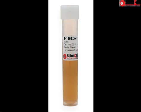 Fetal Bovine Serum 10 Ml Fbs