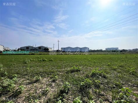 台南新市區大社段新市大社28分方正農地 0908 040999售屋網 仲介賣屋免費刊登【賣屋廣告免費刊登】