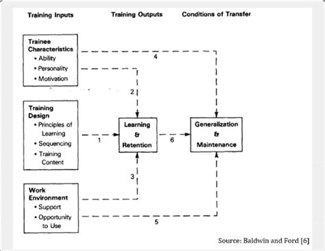 A Model Of The Transfer Process 6 Download Scientific Diagram