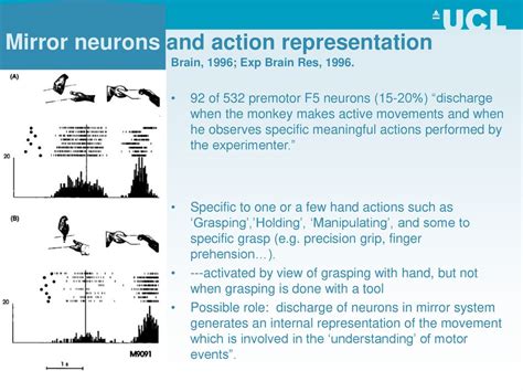 Wellcome Department Of Imaging Neuroscience Ppt Download