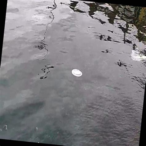 Floating Marine Litter Detection Object Detection Dataset V2 2023 05