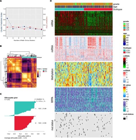 Identification Of The Molecular Clusters A Identification Of Optimal