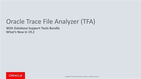 Whats New In Oracle Trace File Analyzer 19 2 Pdf