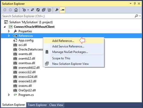 Подключиться к базе данных Oracle в C без Oracle Client