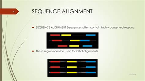 Multiple Sequence Alignment Tool Using Ncbi Cobalt Pdf Web Development Internet