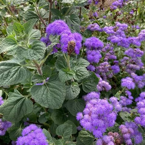 Chie Chie1204snk • Threads Say More