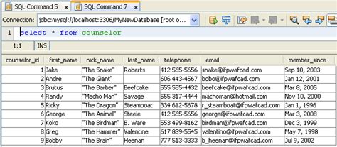 Java Web Application And Database