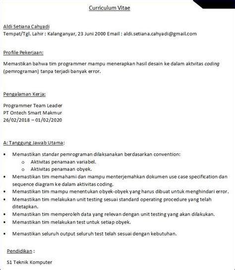 Detail Contoh Cv Programmer Koleksi Nomer 43