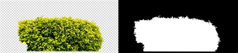 Clipping Mask Shapes Stock Photos Images And Backgrounds For Free Download