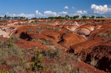 Exercícios Sobre Solo Questões Sobre Formação E Degradação Do Solo