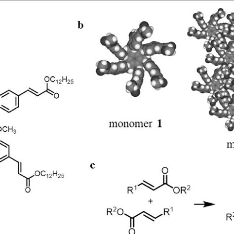 Chemical Structure And Molecular Models A Chemical Structure Of Monomer Download Scientific