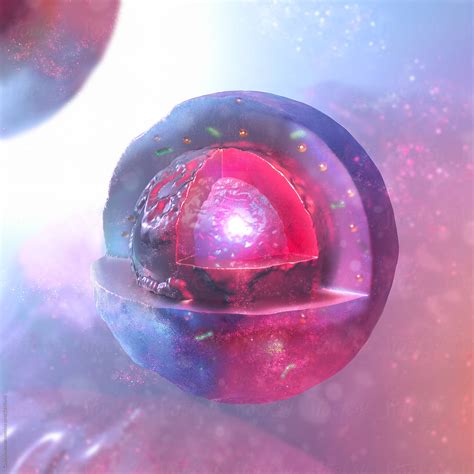 Cross Section Of Cell By Stocksy Contributor Colin Anderson Stocksy