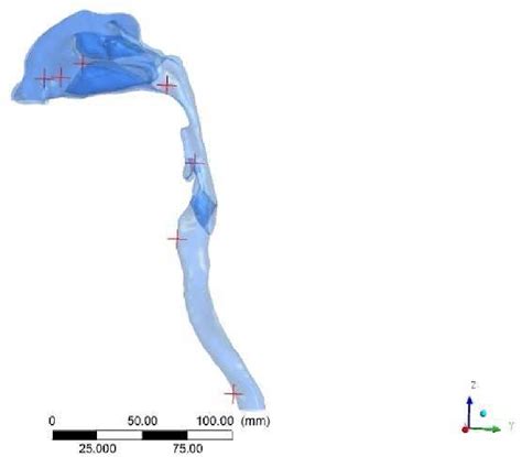 Location Of The Temperature Measurements Download Scientific Diagram