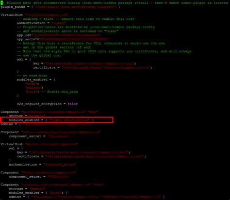 It Crowd Jitsi Meet Jwt Token авторизация в Debian 10 Buster