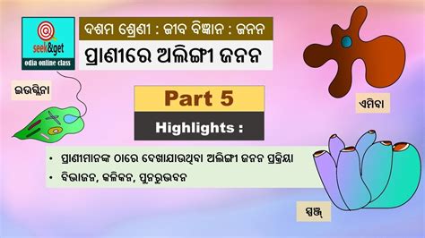 th life science reproduction in odia part asexual reproduction odia ଅଲଙଗ ଜନନ seek