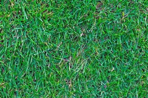 Best Artificial Grass