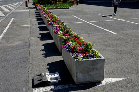 화강암 자갈 마을 광장에 포장화 꽃 침대의 가장자리에 연간 농장과 다년생 화단 입구에 대한 돌 기둥과 돌 쓰루와 화분 식물 0명에 대한 스톡 사진 및 기타 이미지 Istock