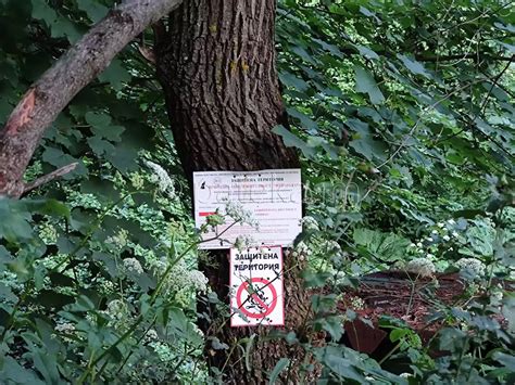 Водопад Боаза или Пеещият водопад край Търговище на 500м от пътя София Варна Pateka Im