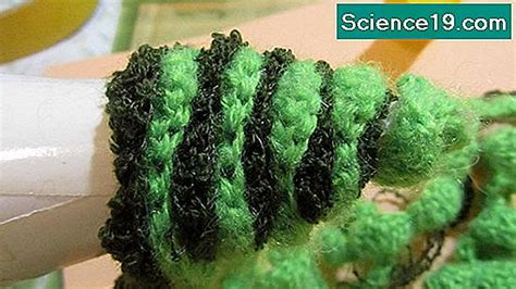 Как да направите палмово дърво в клас 💫 Научно Популярен Мултимедиен Портал 2025