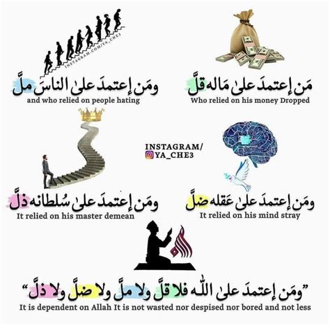 من جد وجد Rexegypt